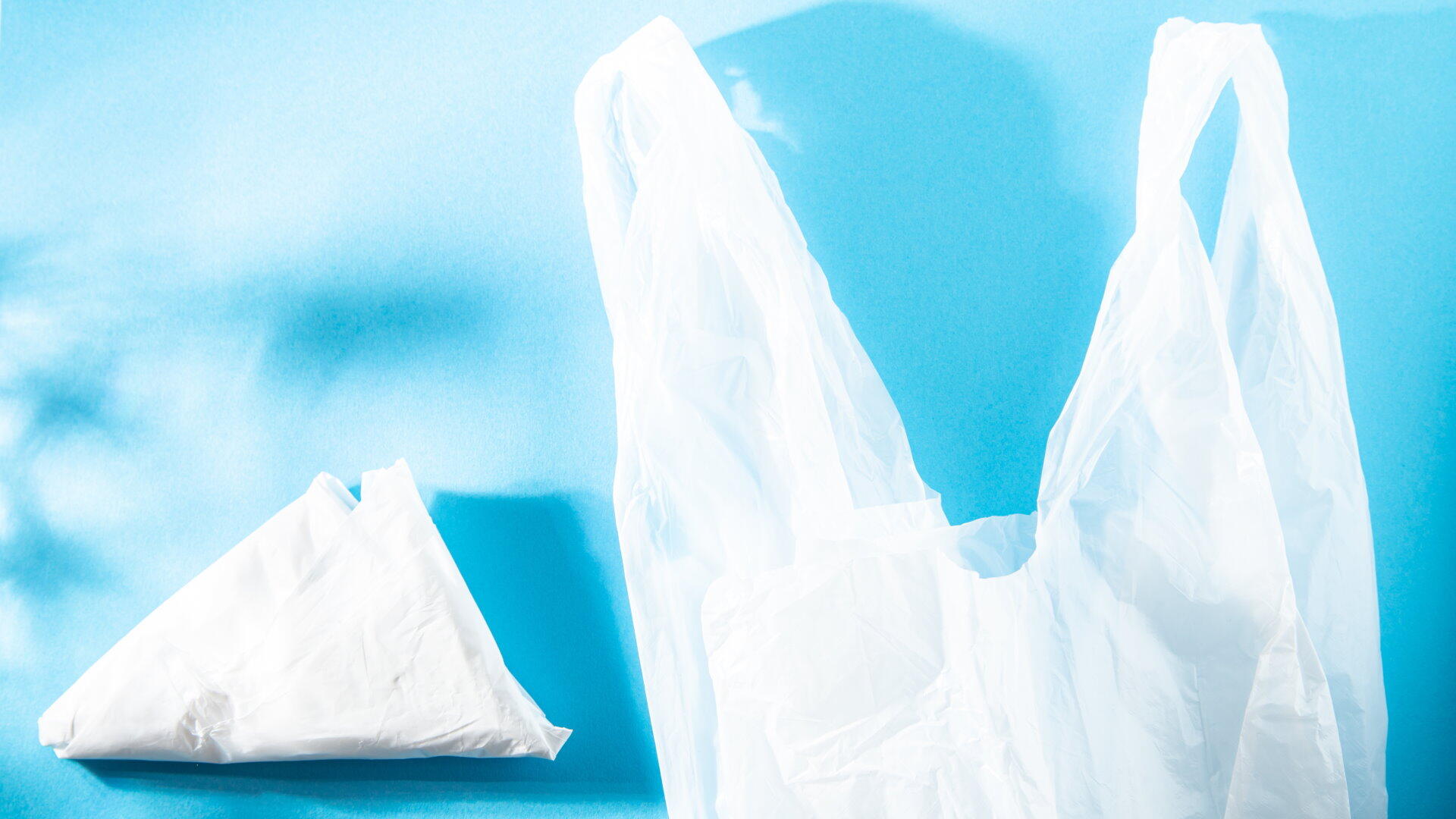 Plastic Bags Are Available For A Fee Consumer Hotline For Tourists